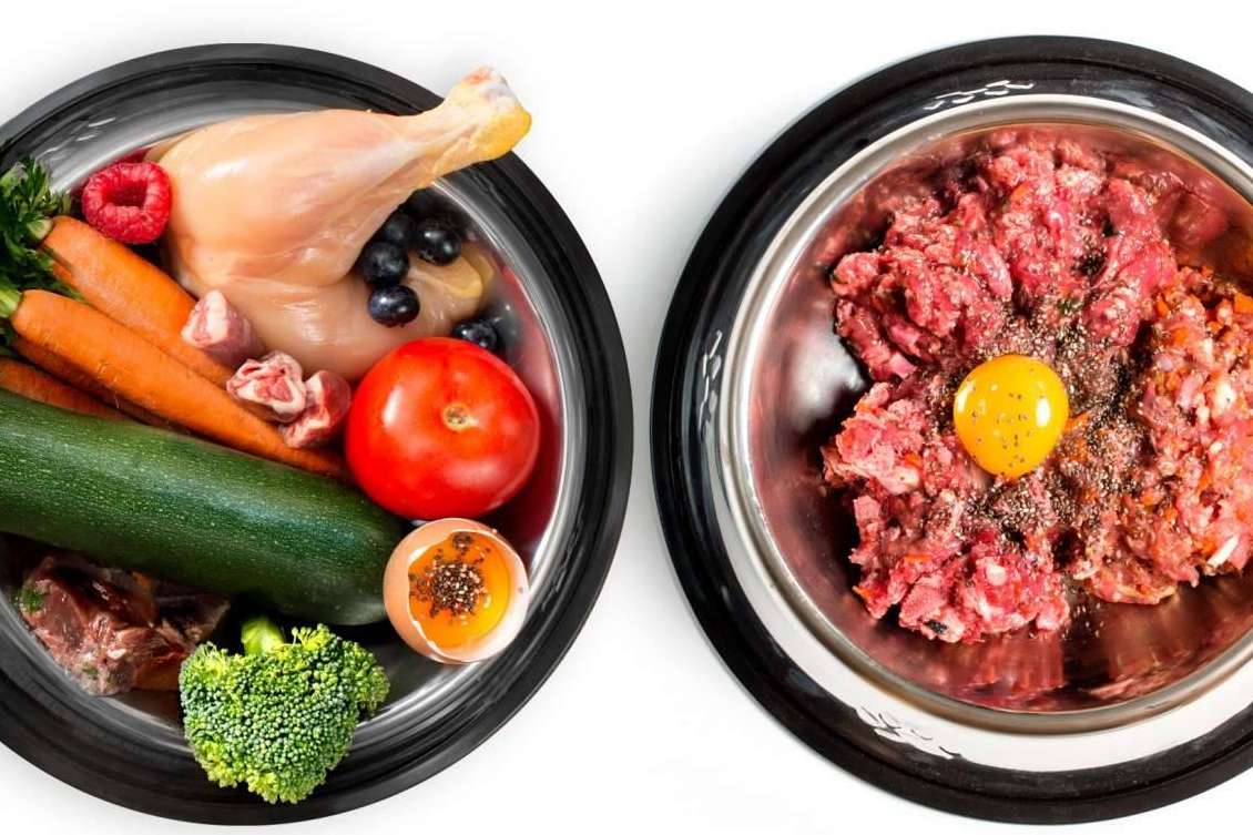 ¿Qué beneficios tiene la dieta BARF para los perros? - La Cronica Siete